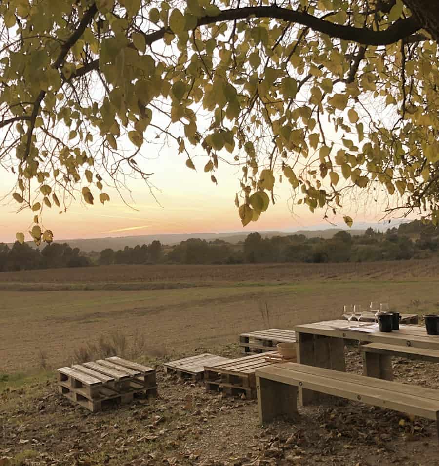 Enoturisme en El Penedès: Visita al celler i les vinyes, tasts de vins ...